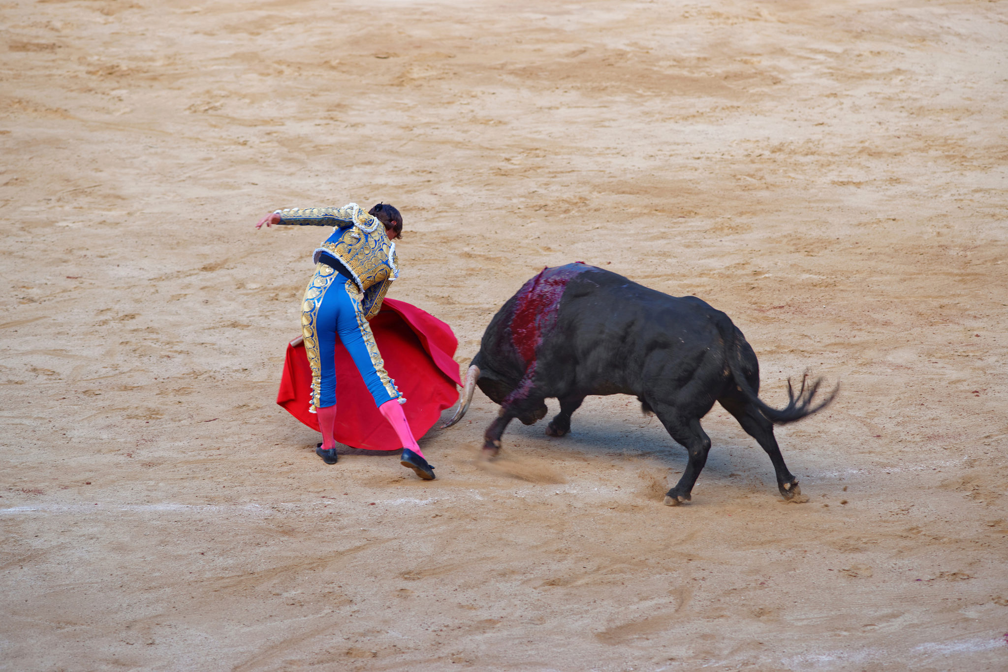 Sofrimento animal: México proíbe touradas na maior arena do mundo
