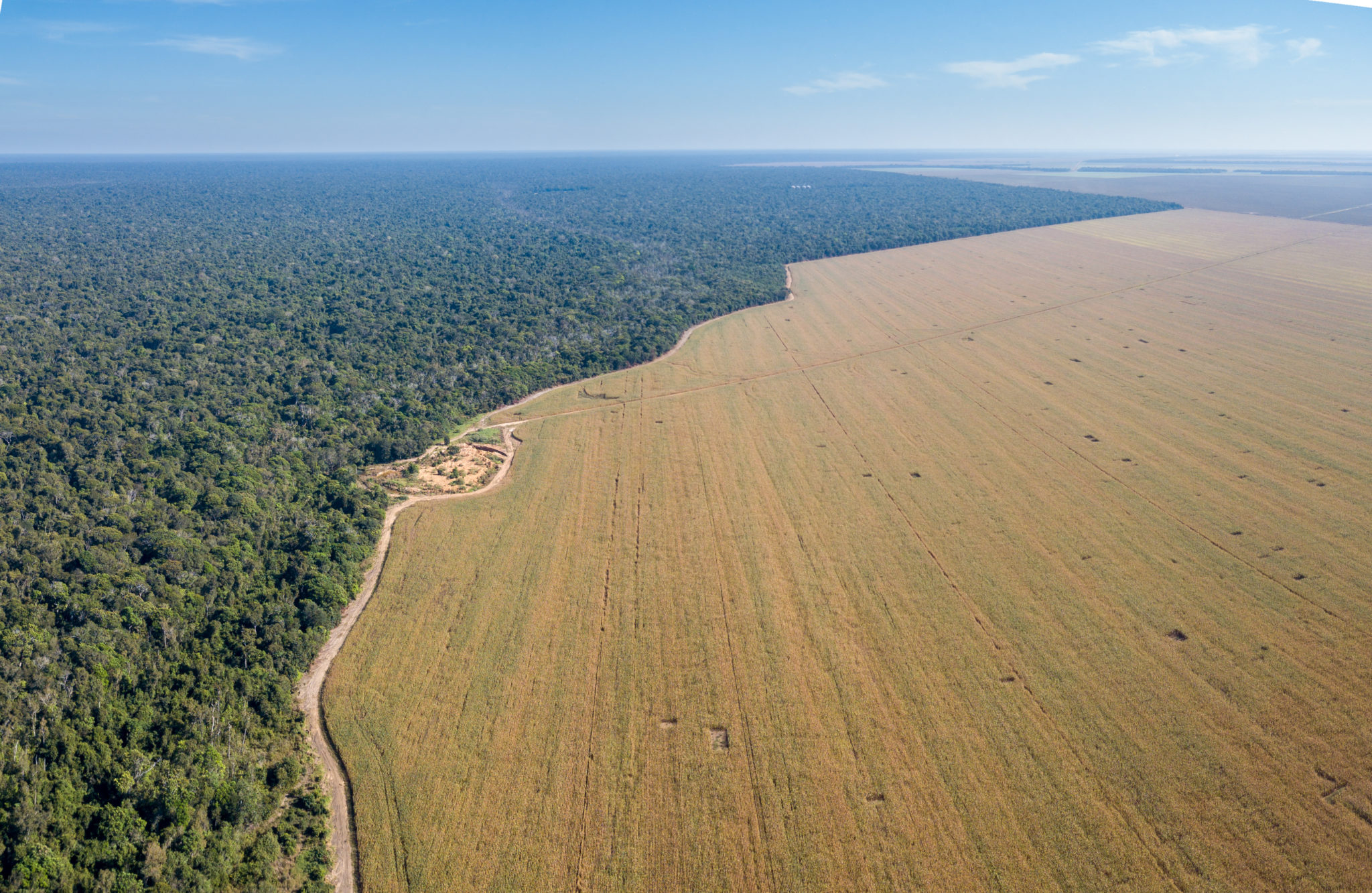 Em 2022, área desmatada na Amazônia é 8 vezes maior que a cidade do RJ